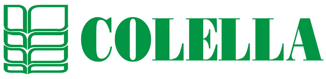 Magenta | Agenzia di Comunicazione Digitale